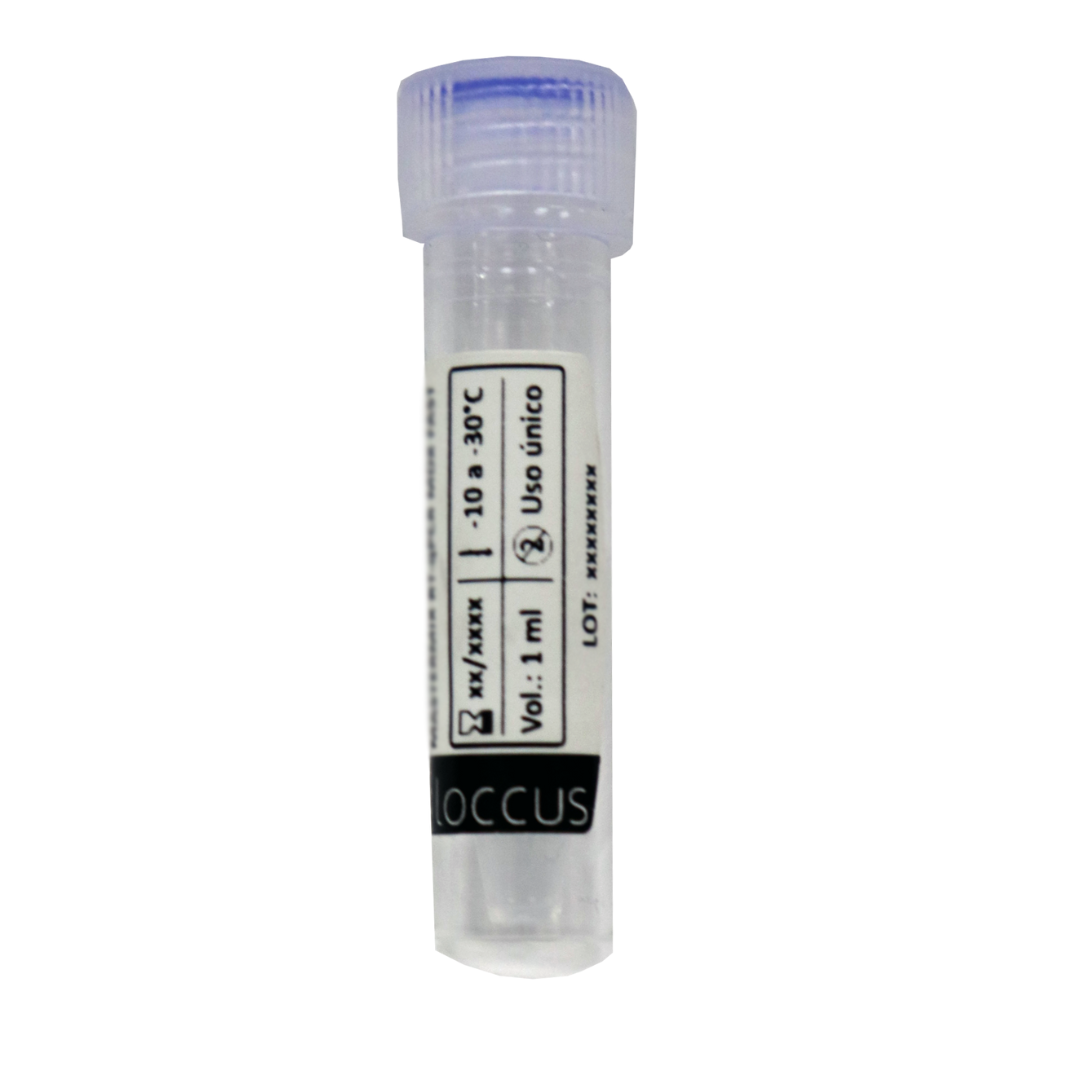 Amplio MasterMix qPCR 2x MDx UltraFast - Loccus