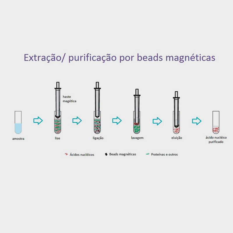 Extrator e purificador de DNA e RNA - EXTRACTA 96 - Loccus