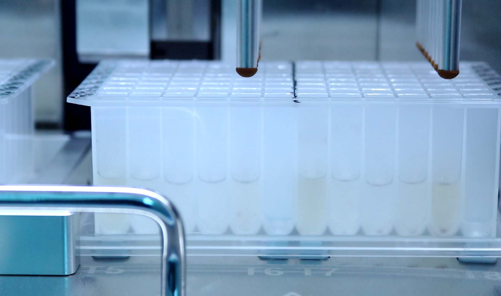 Extrator e purificador de DNA e RNA - EXTRACTA® 16 - Loccus